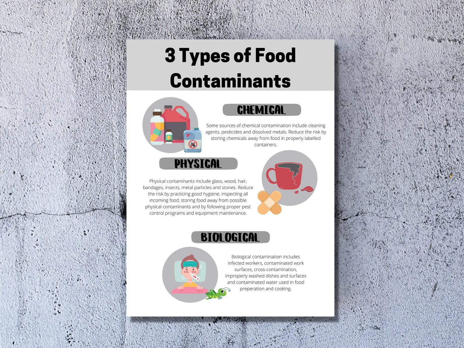 Three Types of Food Contaminants Safety Poster, Food Safe Chart ...