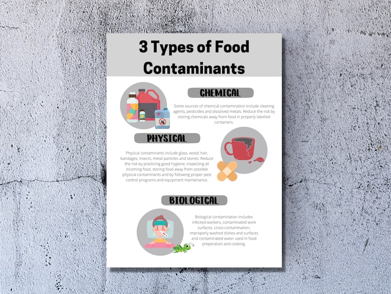 Three Types of Food Contaminants Safety Poster, Food Safe Chart ...