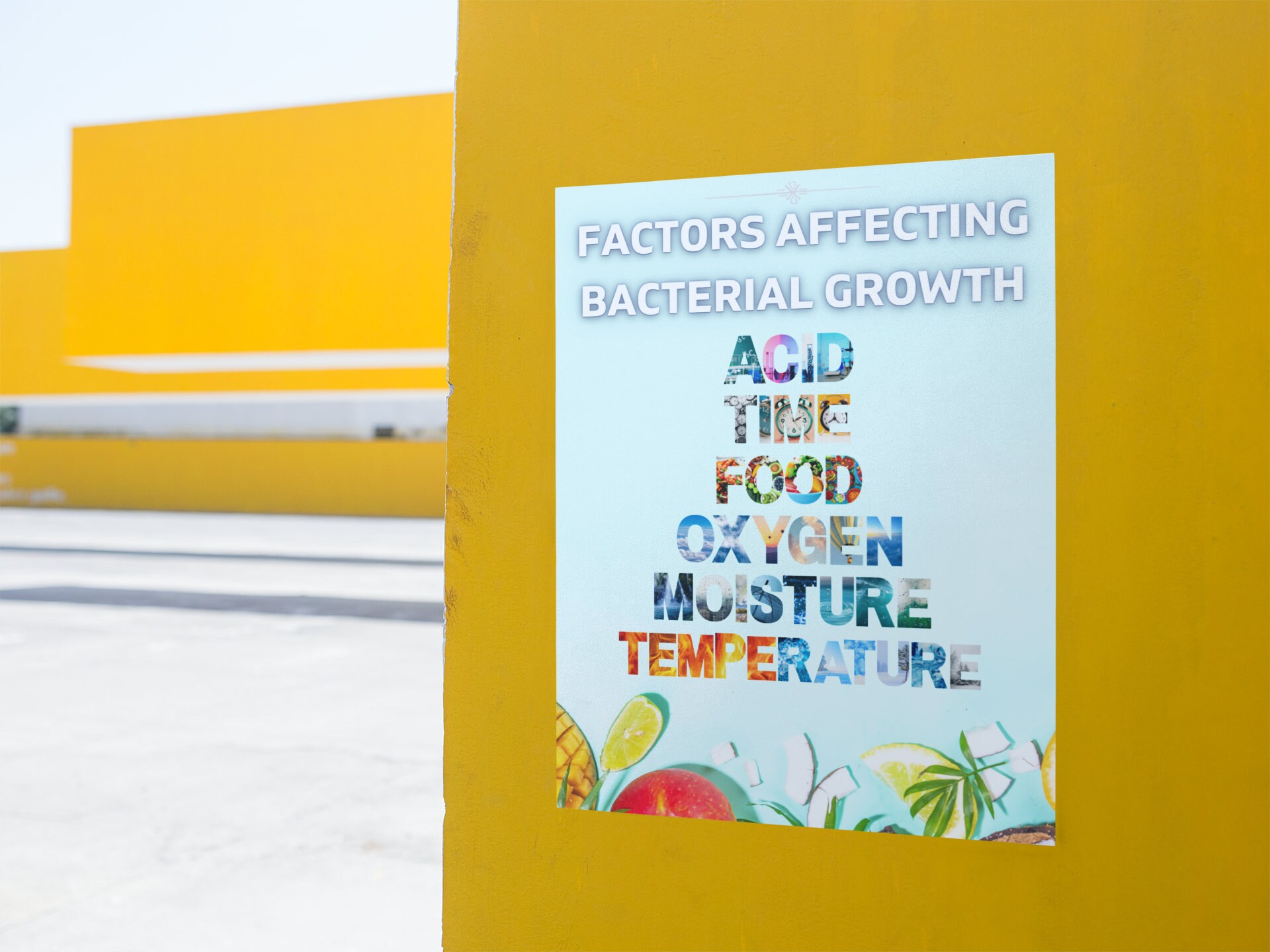 Food Safety Poster Factors That Affect Bacterial Growth - Etsy UK