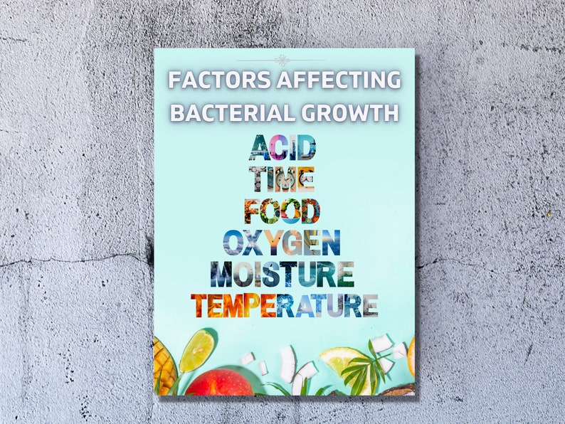 Food Safety Poster, Factors That Affect Bacterial Growth, Restaurant ...