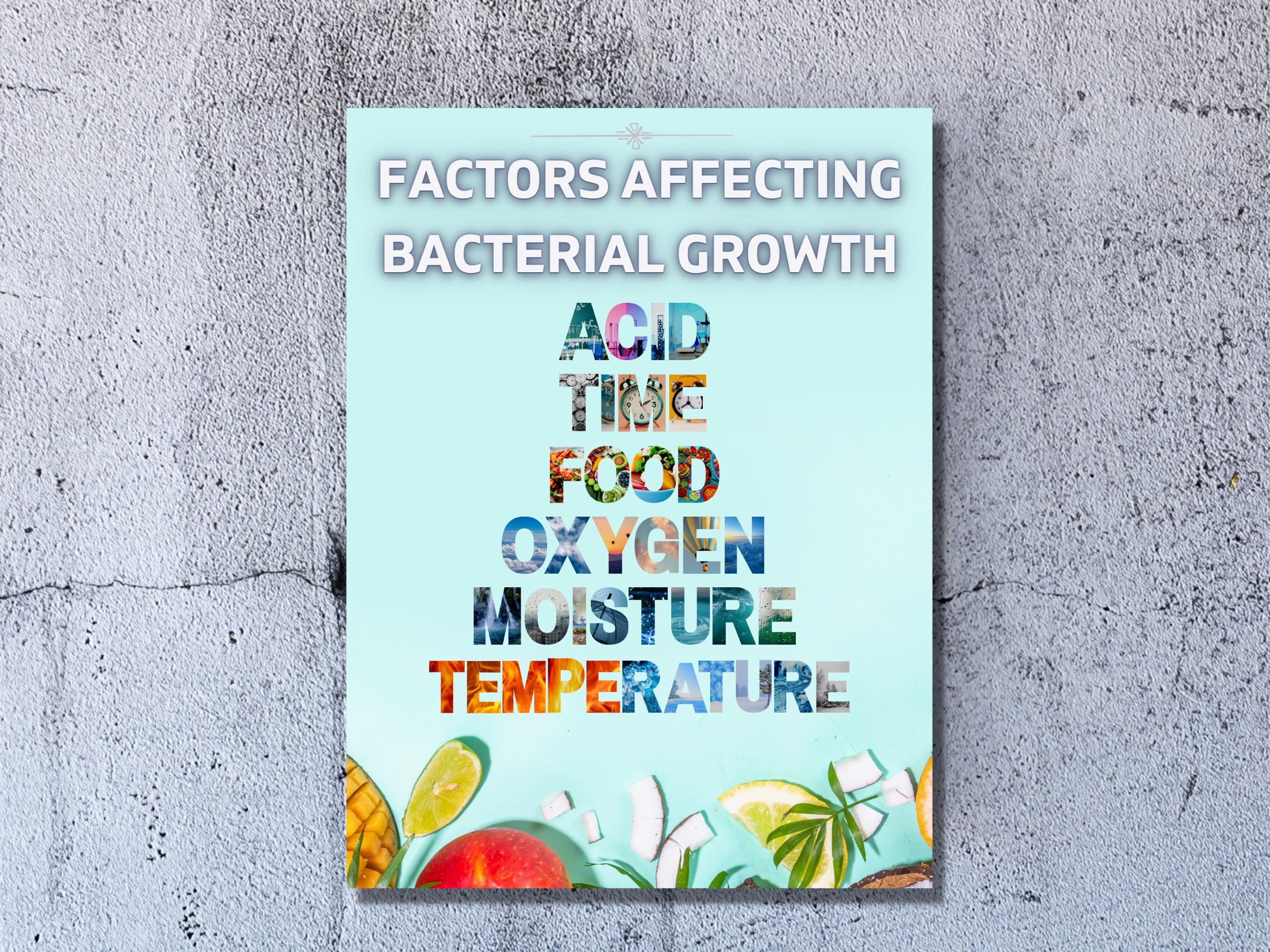Food Safety Poster, Factors That Affect Bacterial Growth, Restaurant ...