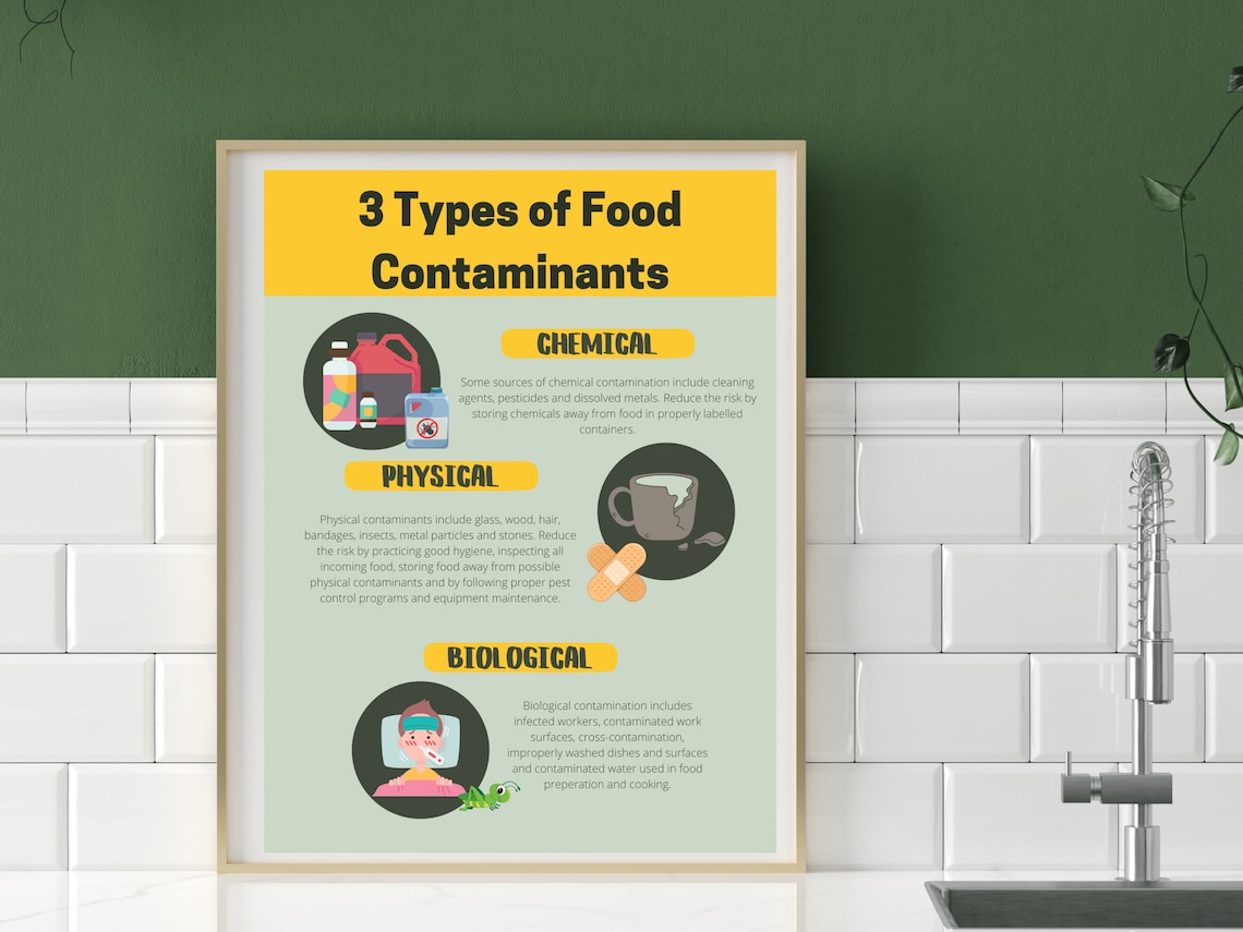 Three Types of Food Contaminants Safety Poster, Food Safe Chart ...