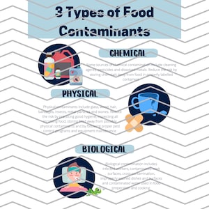 Three Types of Food Contaminants Safety Poster Food Safe - Etsy