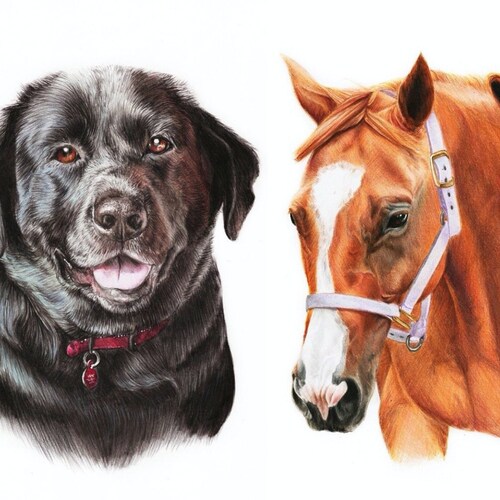 Custom Dog Portrait Dog Drawing Pet Portraits Pencil - Etsy