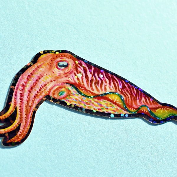 Cuttlefish - Etsy