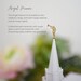 Provo City Center Temple Replica Statue - Etsy