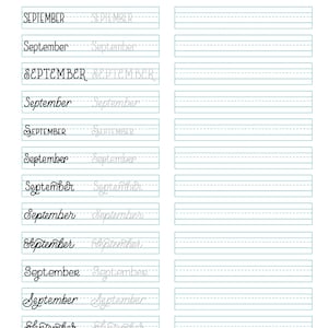 12 Handwriting Styles for 12 Months Workbook (PDF and Procreate) - Etsy
