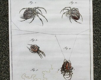 Creepy Crawly Critter Soaps set of 6 centipede spider | Etsy