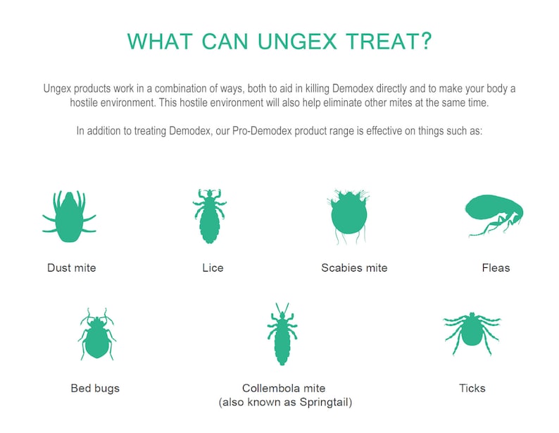 Ungex Pro-demodex Treatment (PDT) - Mite Treatment With Tea Tree Oil - Etsy