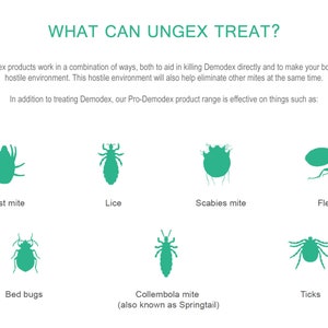 Demodex Hair Tonic Treats Scalp Mite, Hair Loss, Androgenic Alopecia ...
