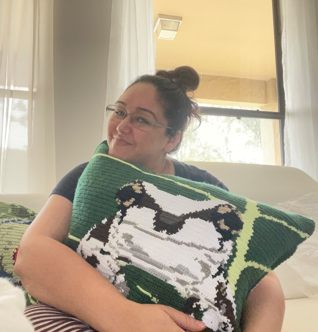 Amazon Milk Frog Pillow Crochet Graph Pattern - Etsy
