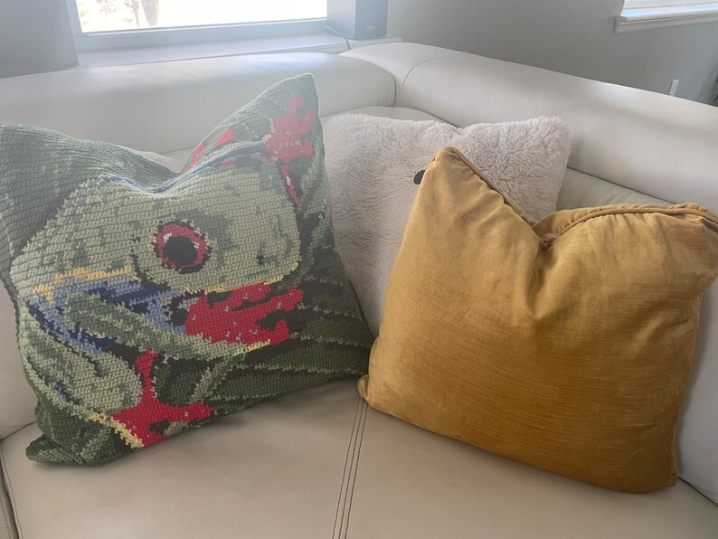 Red Eye Tree Frog Crochet Pillow Graph - Etsy