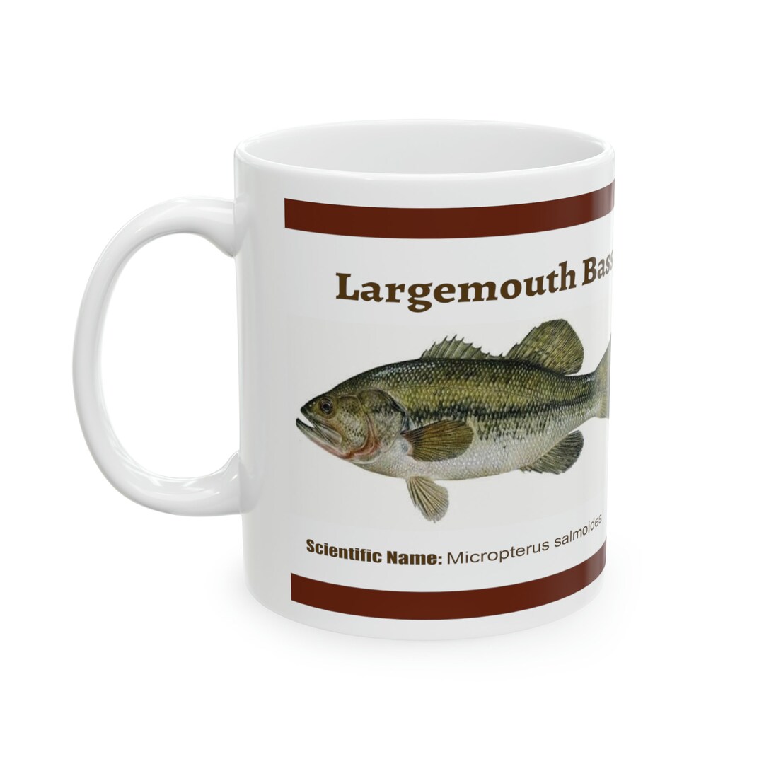 Largemouth Bass Mug: North American Freshwater Fish Series - Etsy