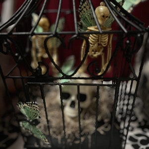Caged Skull, Skeleton Fairies in Painted Black Metal Cage, Green ...
