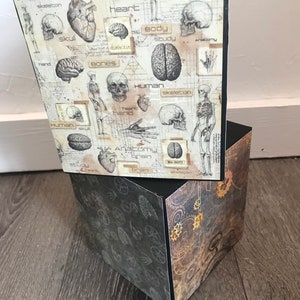 Gothic Tissue Box Cover, Sold Separately, Skulls Skeleton Anatomy ...