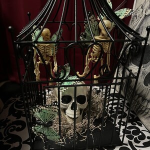 Caged Skull, Skeleton Fairies in Painted Black Metal Cage, Green ...