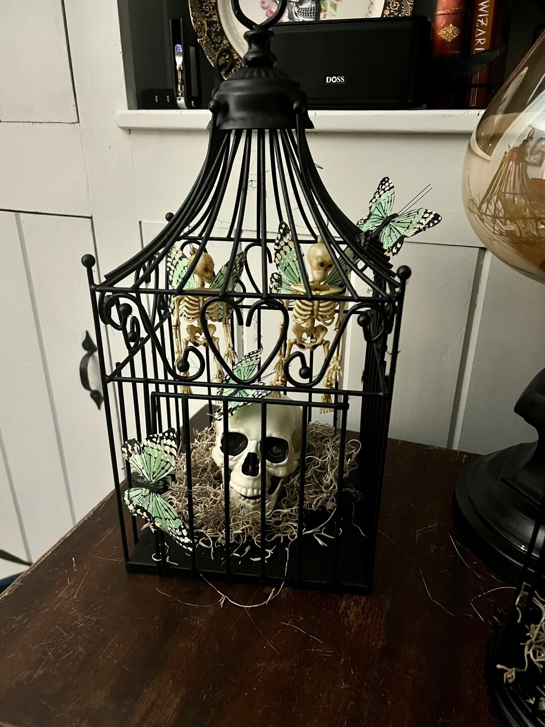Caged Skull, Skeleton Fairies in Painted Black Metal Cage, Green ...