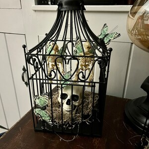Caged Skull, Skeleton Fairies in Painted Black Metal Cage, Green ...