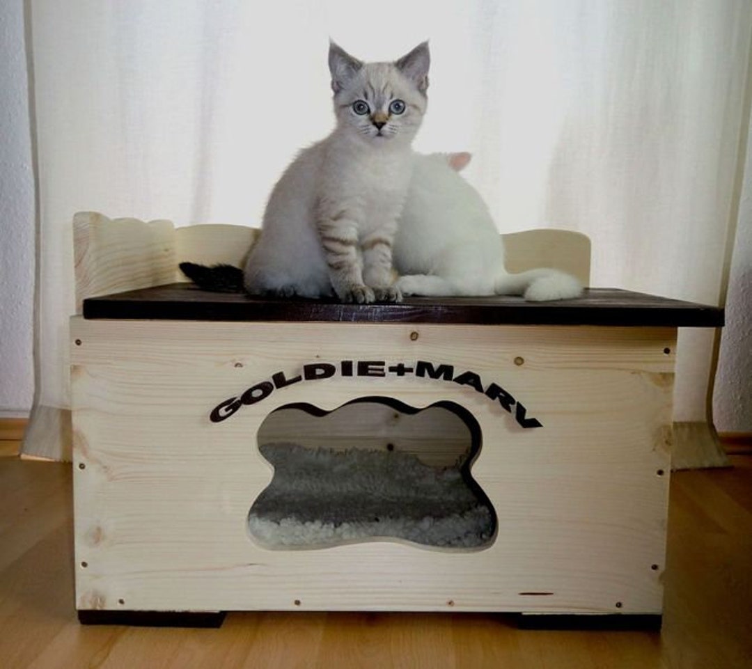 Cat House, Whelping Box, Cat Hut With Name, Paintable Yourself - Etsy