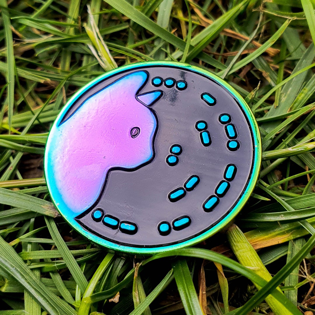 Cat Morse Code Strong Mensaje oculto Pin de esmalte de arco iris - Etsy España