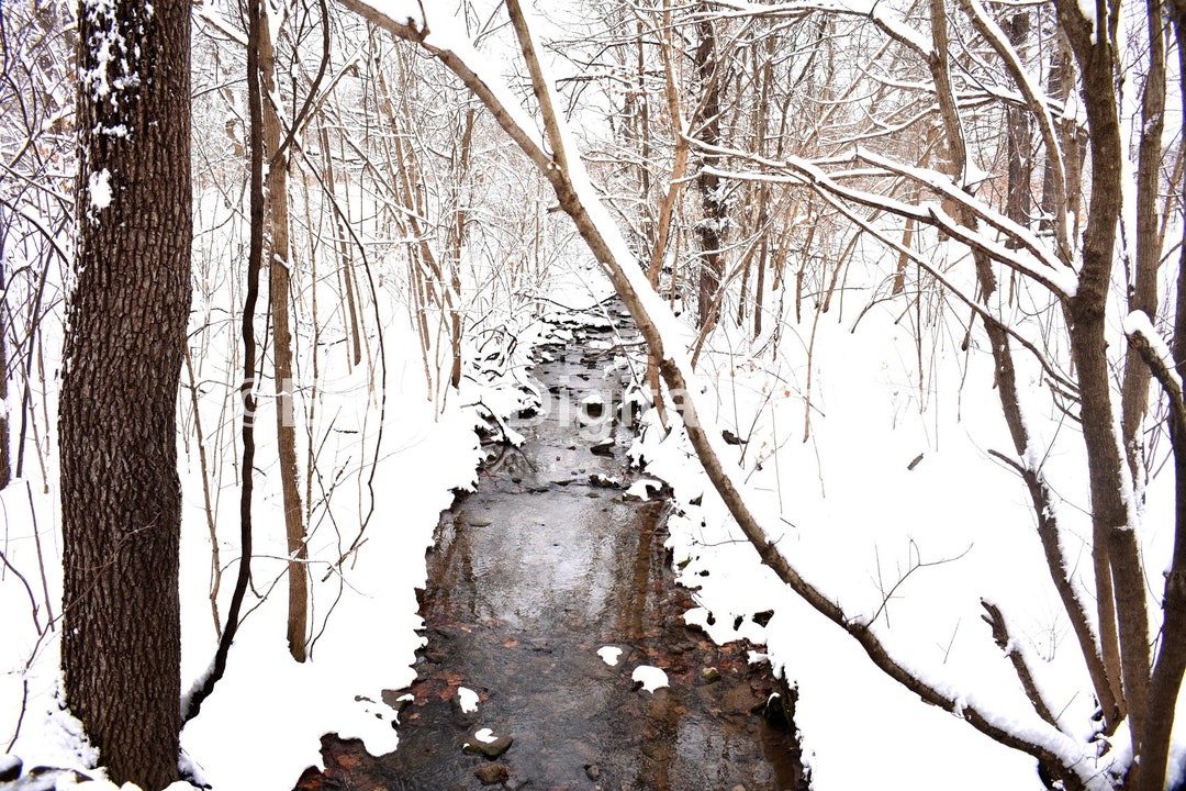 Winter Forest Stream Print, Snowy Landscape Photography (digital ...