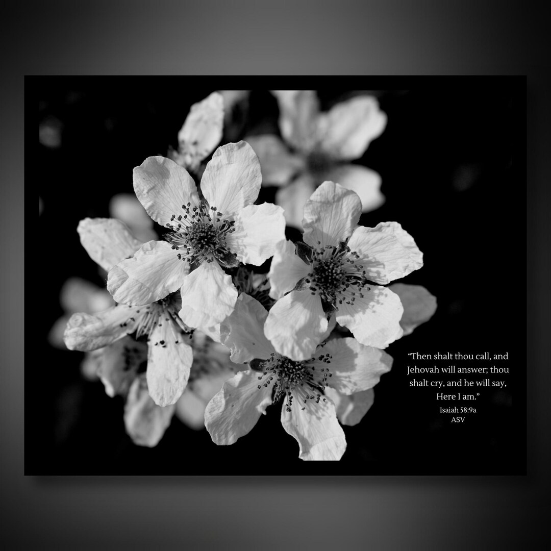 Black and White Flower Bible Verse Print: Christian Wall Art (digital ...