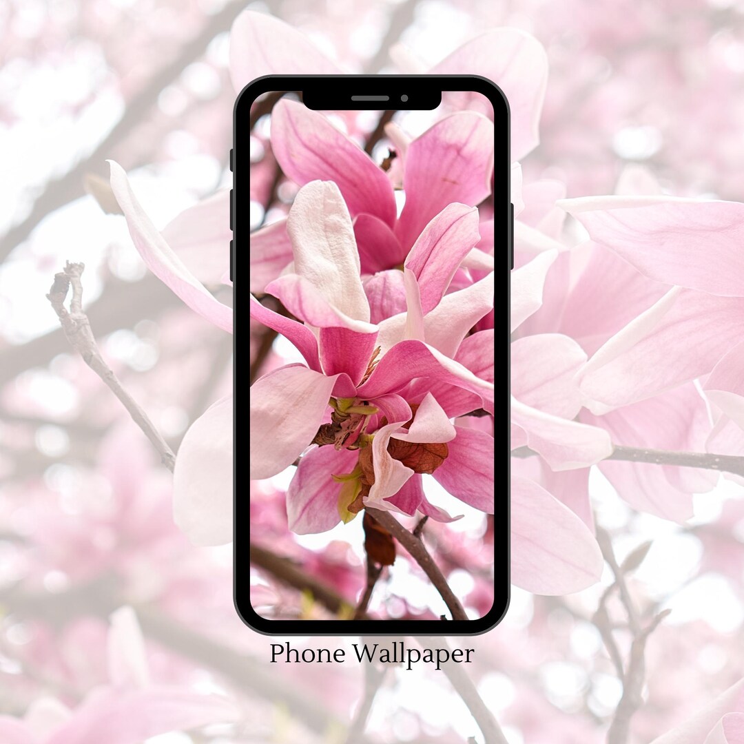 Pink Magnolia Flower Cell Phone Wallpaper - Etsy