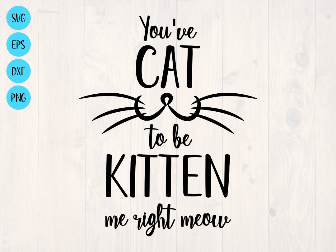 You've Cat to Be Kitten Me Right Meow SVG is a Funny Cat Lover Shirt Design - Etsy