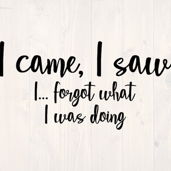 I Came I Saw I Forgot What I Was Doing Mug - Etsy