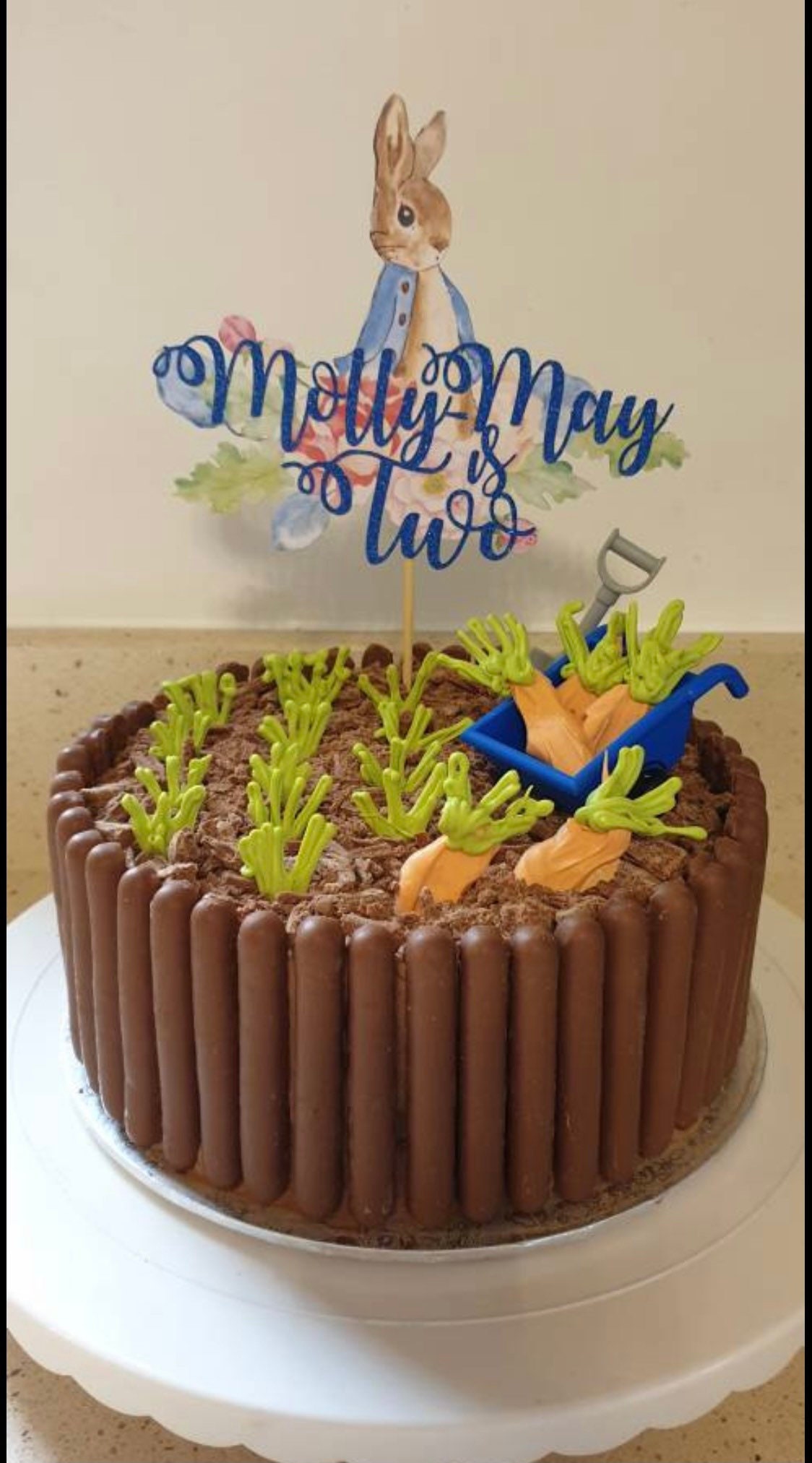 Peter Rabbit Cake Topper - Etsy UK