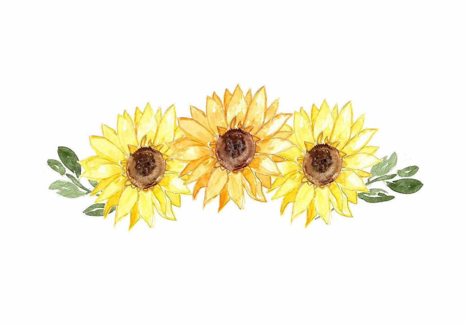 Sunflower Download Sunflowers Sunflower PNG Sunflower Vine | Etsy