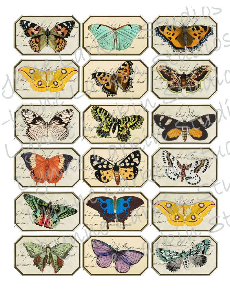 EXOTIC BUTTERFLY LABELS Instant Download Digital Paper Vintage Labels ...