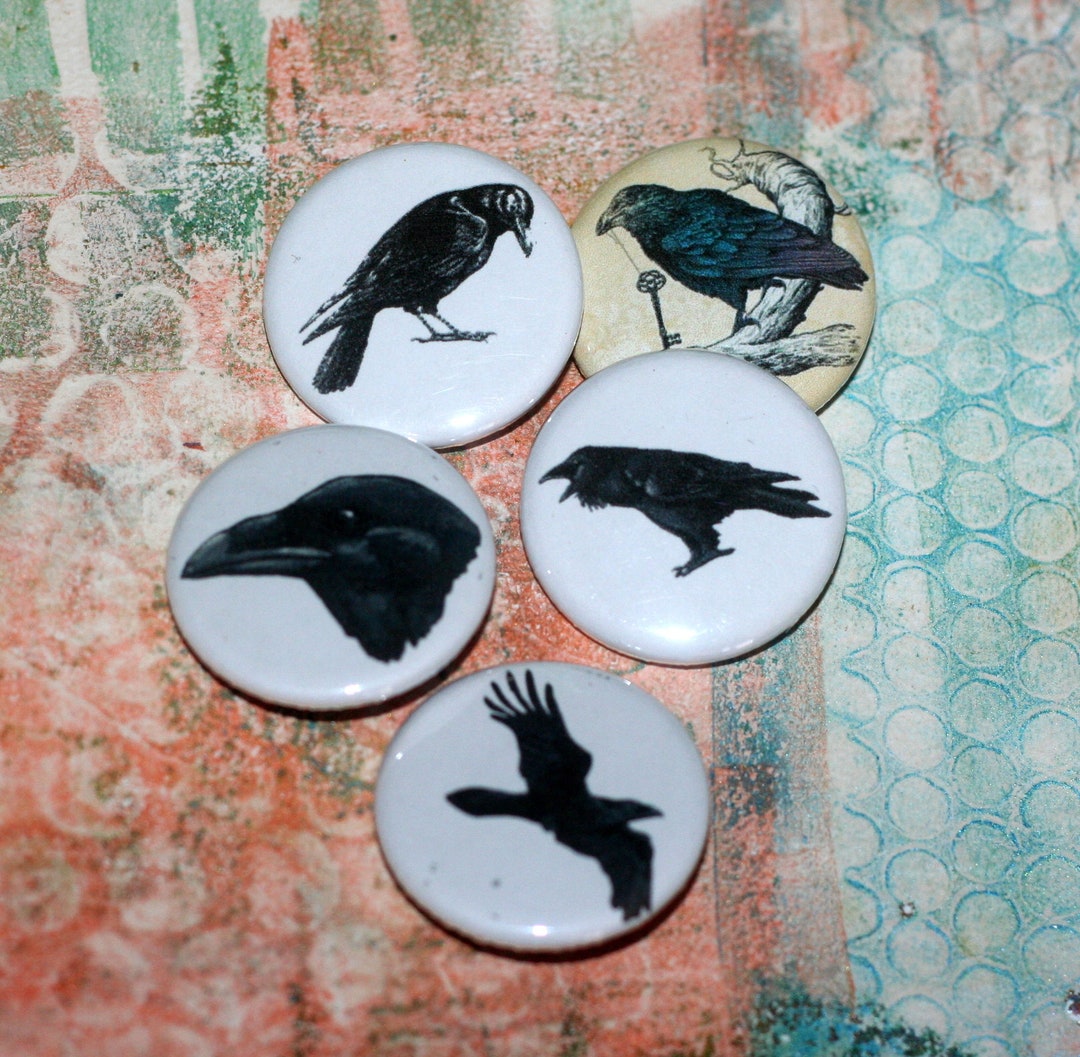 Strickly Ravens- Pin Back Buttons Set of 5 T 1.25" Pin Back Buttons ...