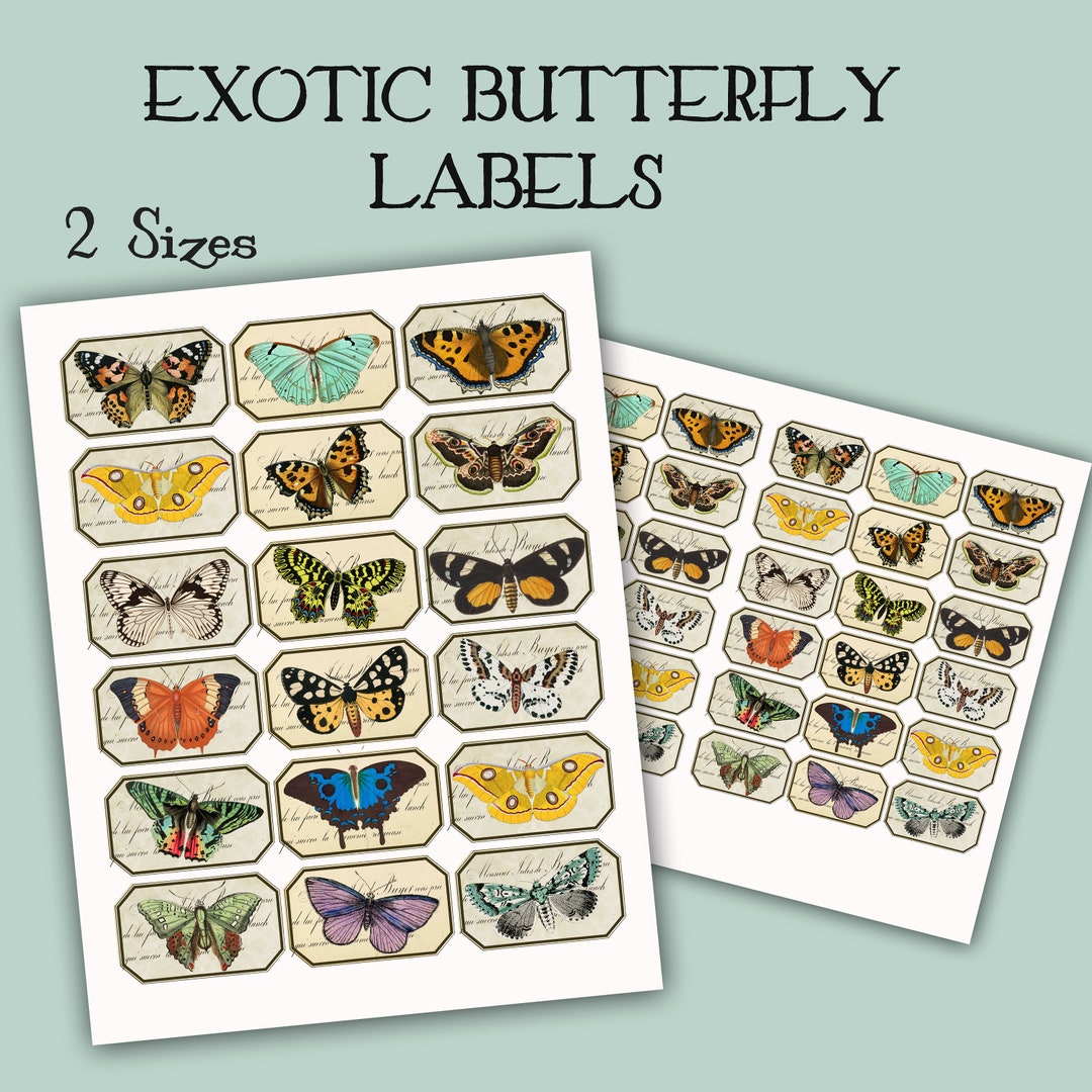 EXOTIC BUTTERFLY LABELS Instant Download Digital Paper Vintage Labels ...