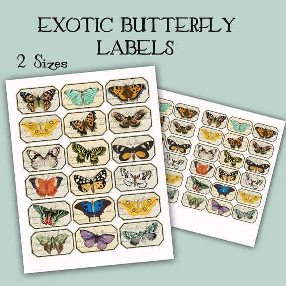 EXOTIC BUTTERFLY LABELS Instant Download Digital Paper Vintage - Etsy
