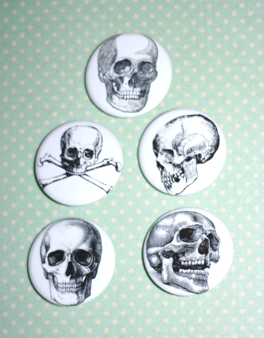 Skull Pin Back Buttons Set of 5 T 1.25" Pin Back Buttons Badges Skulls ...