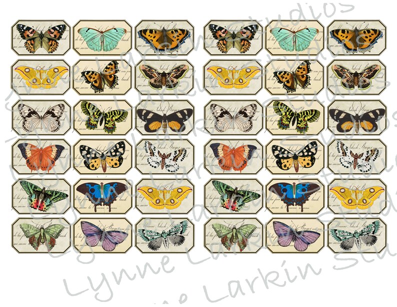 EXOTIC BUTTERFLY LABELS Instant Download Digital Paper Vintage - Etsy