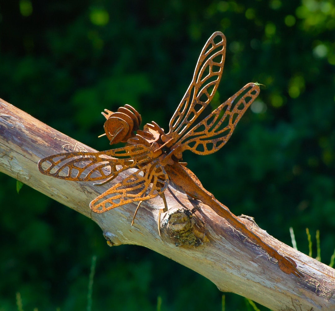 Dragonfly 3D Edelrost Garden Decoration Rust Decoration Rust Optics ...