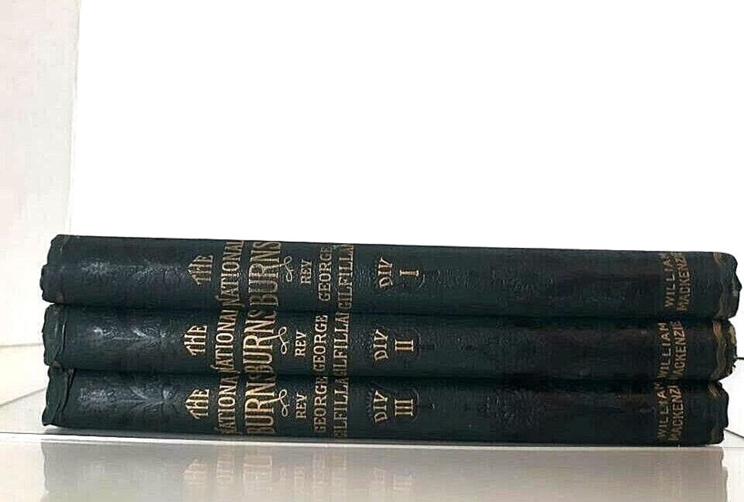 The National Burns Div I II III Antique Book Set of 3 Hardcover Burns ...