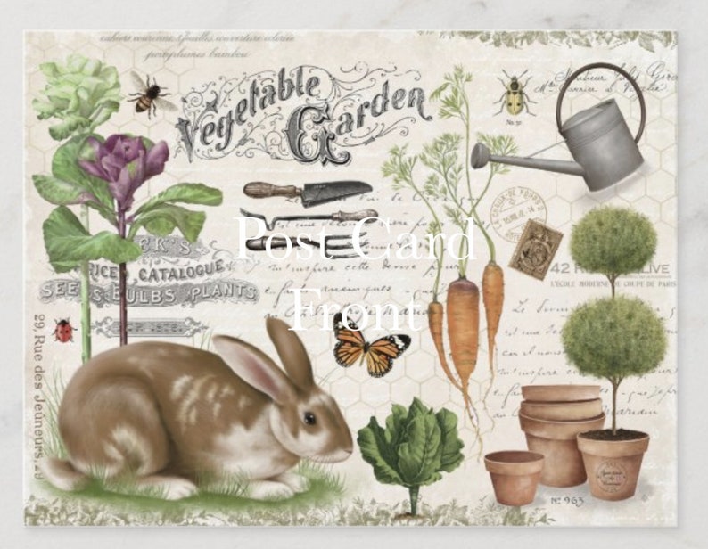 The Garden Post Card PSTC155 - Etsy