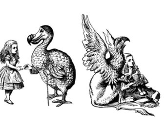 Dodo Stamp - Etsy