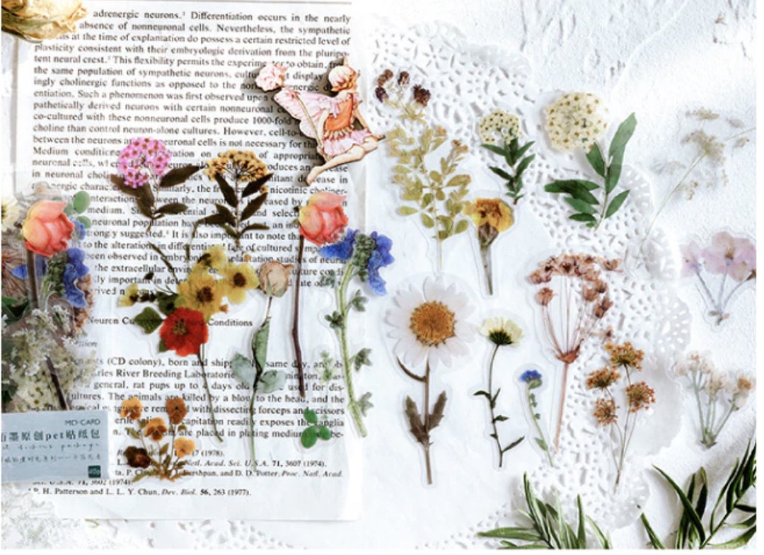 Clear Sticker Pack - Mixed Wild Flowers - Etsy