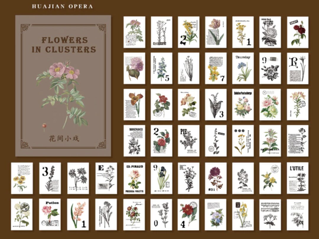 Mini Vellum Book. Each Mini Book Contains 50 Beautiful Pages 4 Options ...