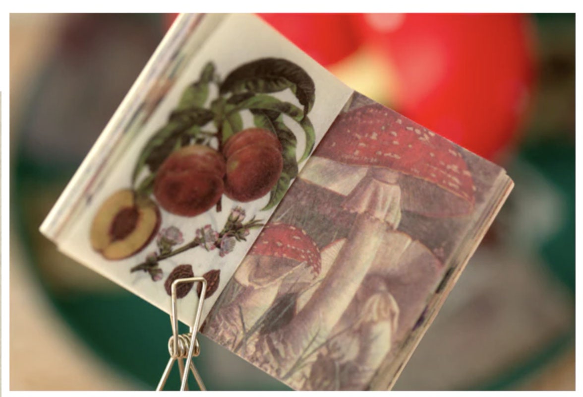 Mini Vellum Book. Each Mini Book Contains 50 Beautiful Pages 4 Options ...