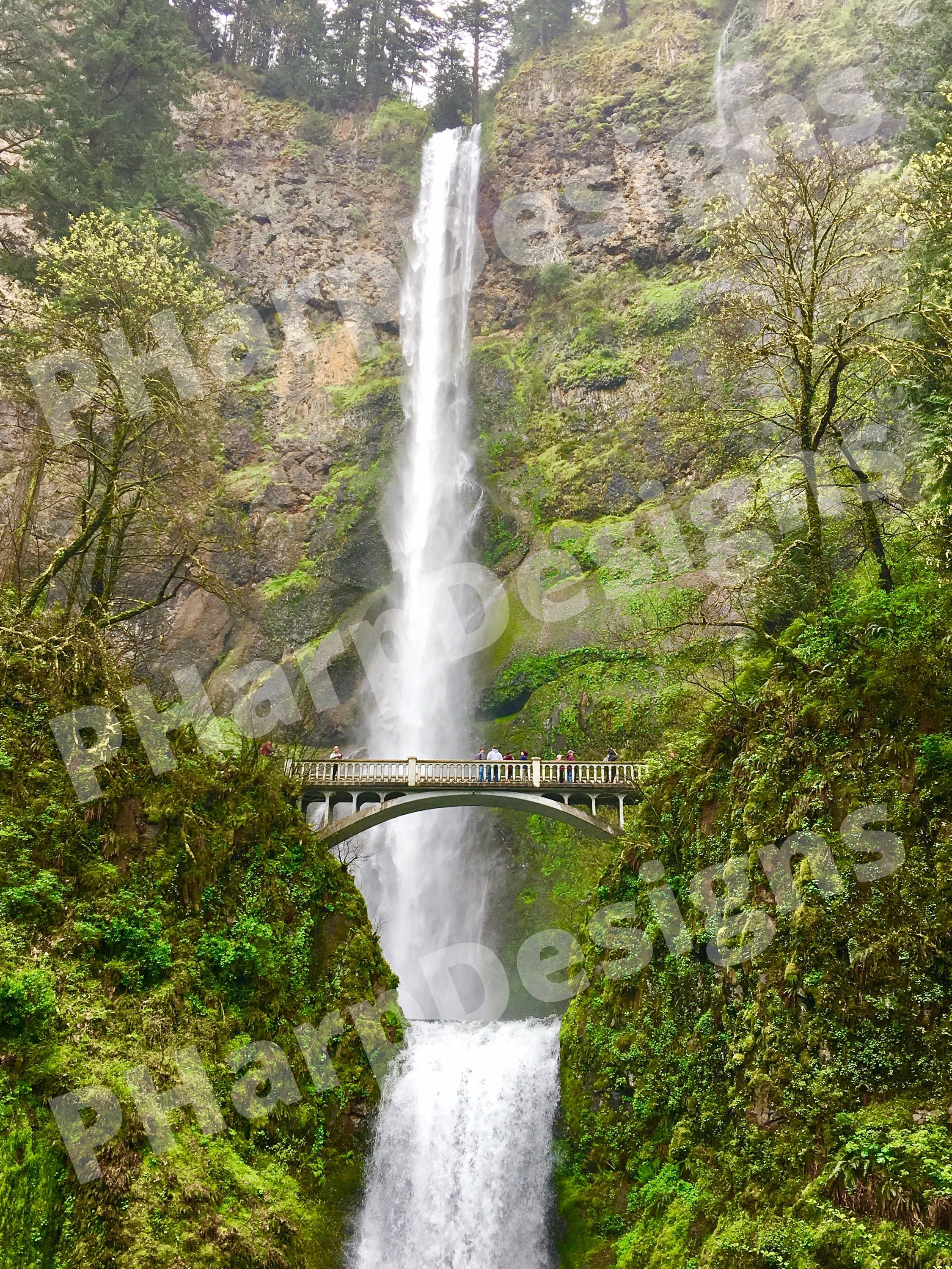 Multnomah Falls Wall Art - Etsy