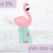 SVG Flamingo Cut File for Cricut, Silhouette, PNG, JPG Tropical Beach ...