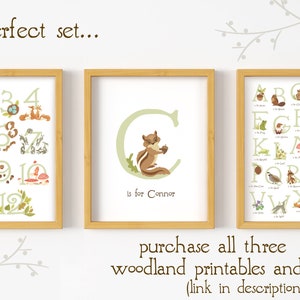 Printable Woodland Animal Numbers Wall Art, Forest Animals Counting ...