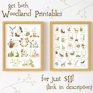Printable Woodland Animal Numbers Wall Art, Forest Animals Counting ...