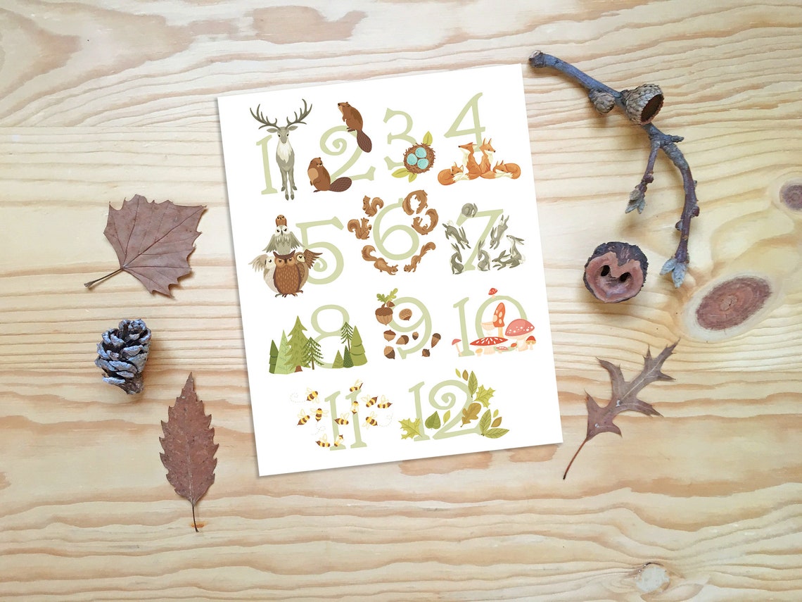 Printable Woodland Animal Numbers Wall Art Forest Animals - Etsy
