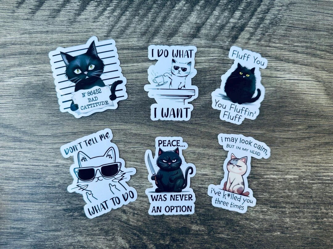 Funny Grumpy Cat Sticker Pack – Waterproof Vinyl Decals (3 Inch) - Etsy